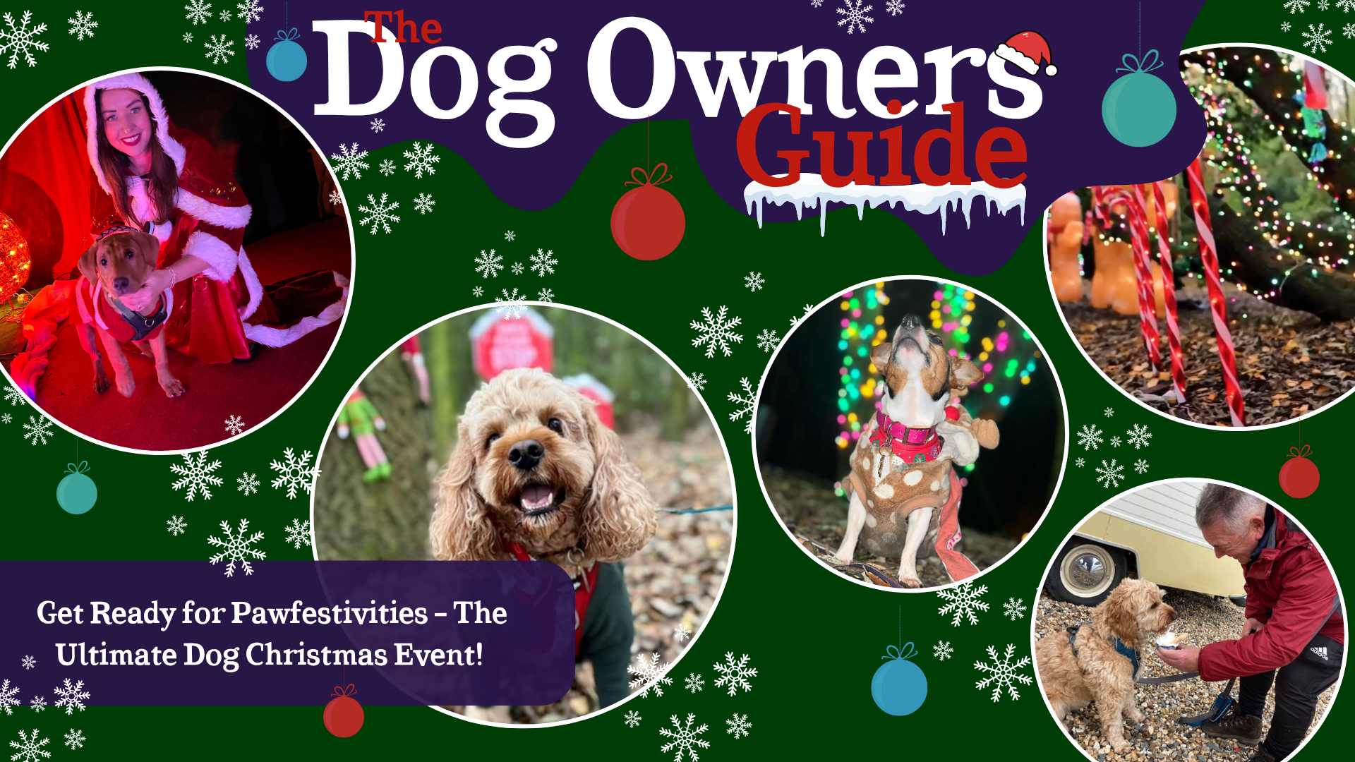 🎄 Get Ready for Pawfestivities – The Ultimate Dog Christmas Event! 🐾 ...