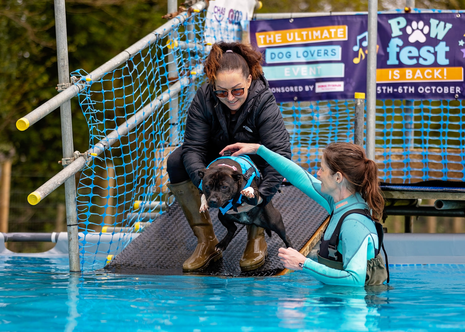 Pawfest | Unleash the Ultimate Dog-Lover's Event | Kent UK – Pawfest Ltd