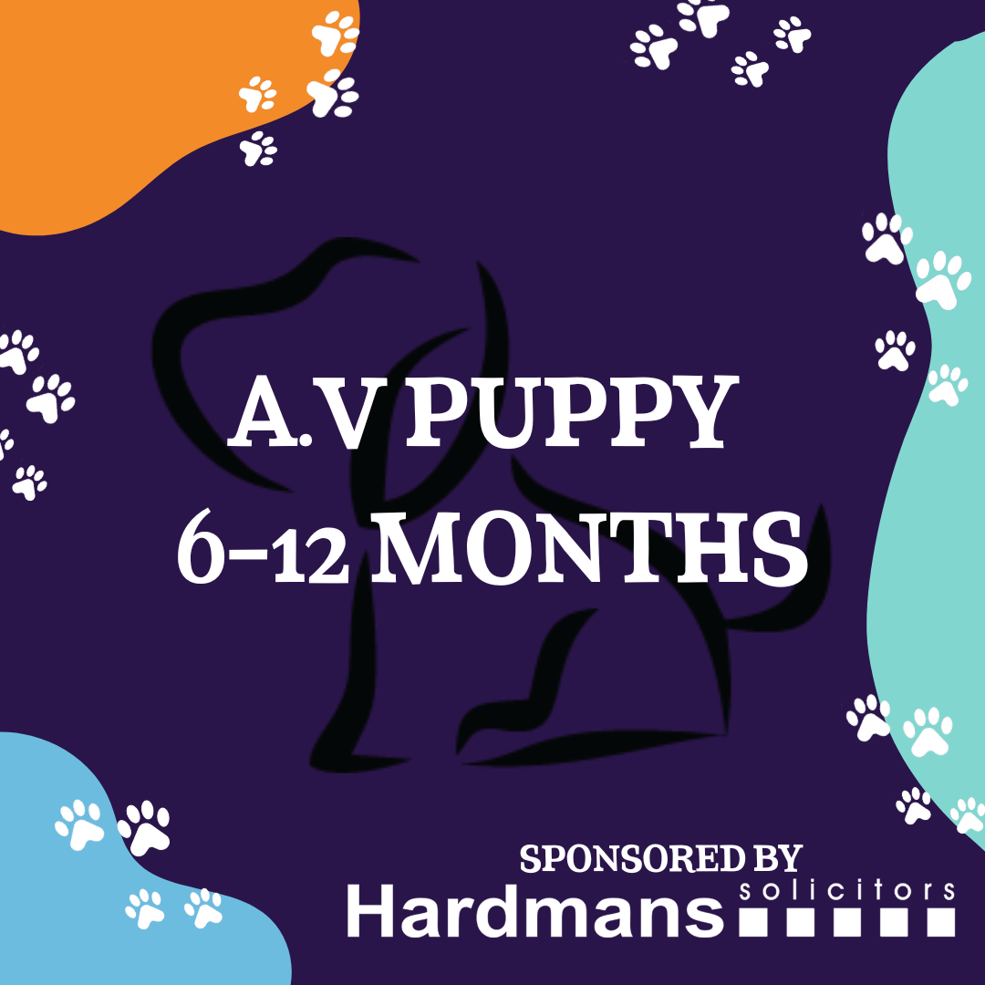 Dog Show Classes - A.V Puppy 6-12 Months – Pawfest Ltd